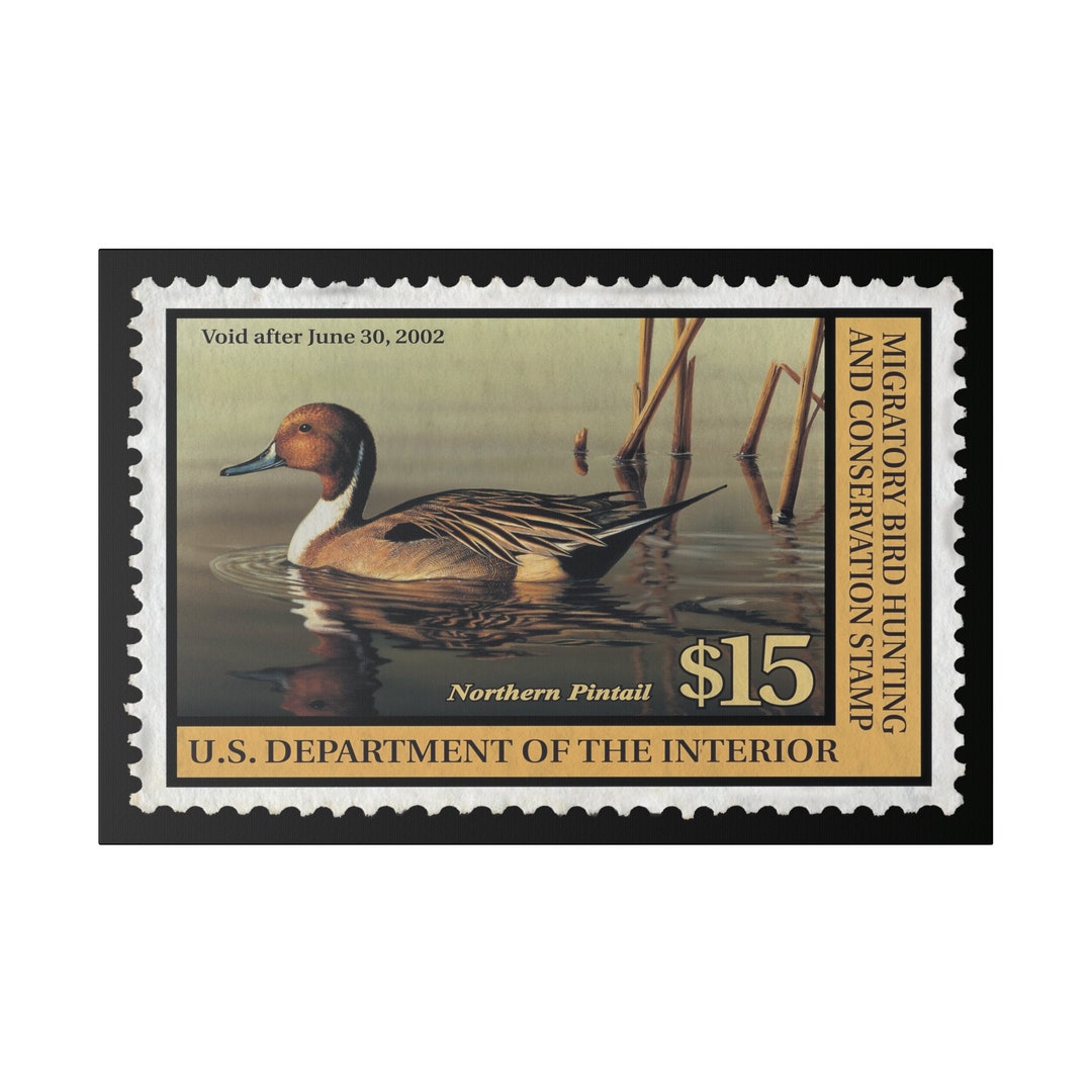 Official 2001 2002 Federal Duck Stamp Canvas Sign - Etsy