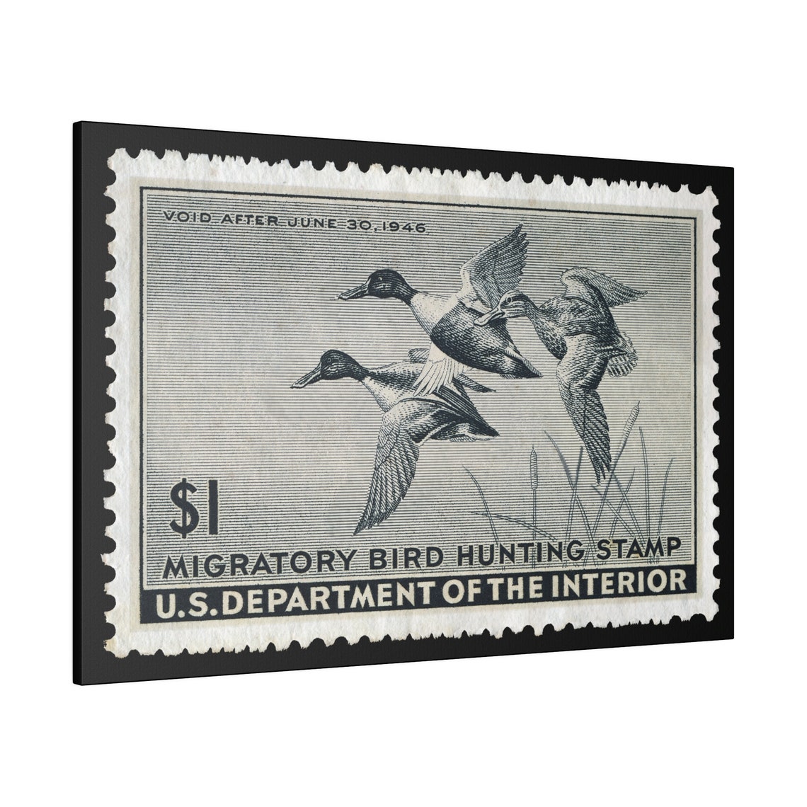 Official 1945 1946 Federal Duck Stamp Canvas Sign - Etsy