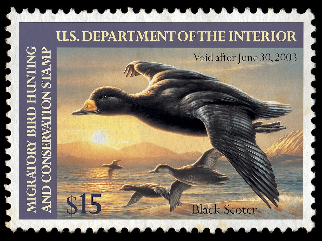 2002 2003 Duck Stamp Metal Sign - Etsy