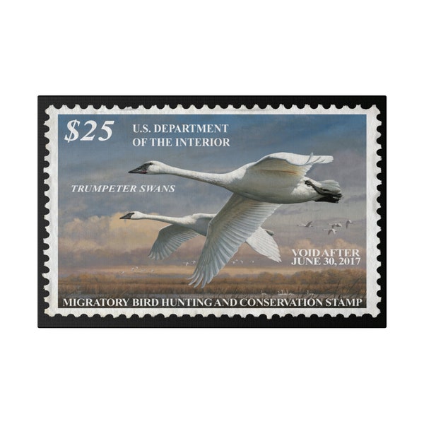 Federal Duck Stamp Frame - Etsy
