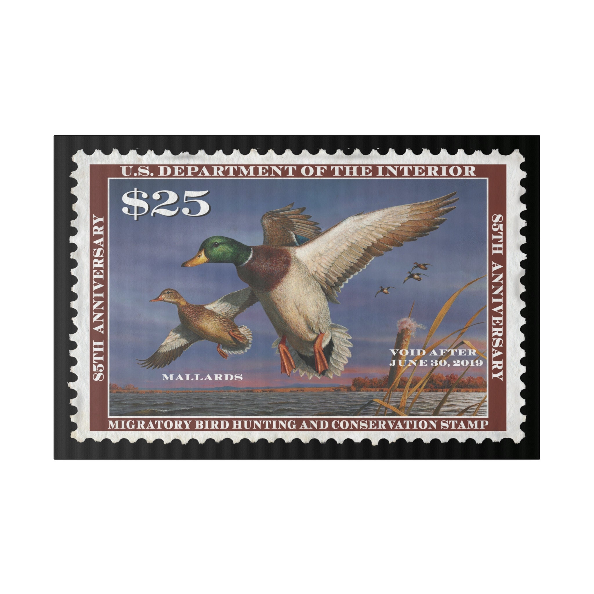 Official 2018 2019 Federal Duck Stamp Canvas Sign - Etsy