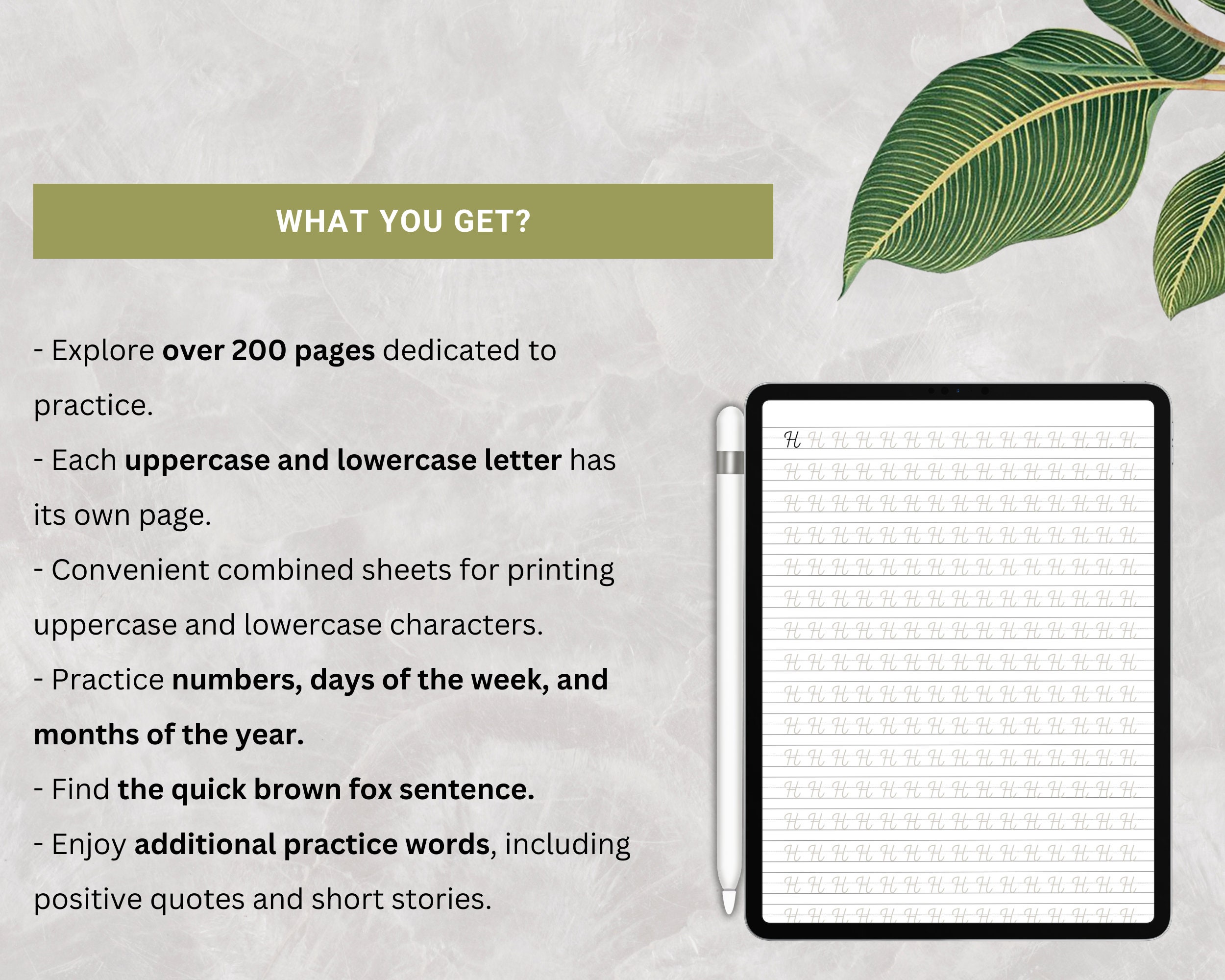 Handwriting Workbook Bundle Printable iPad Templates for Goodnotes ...