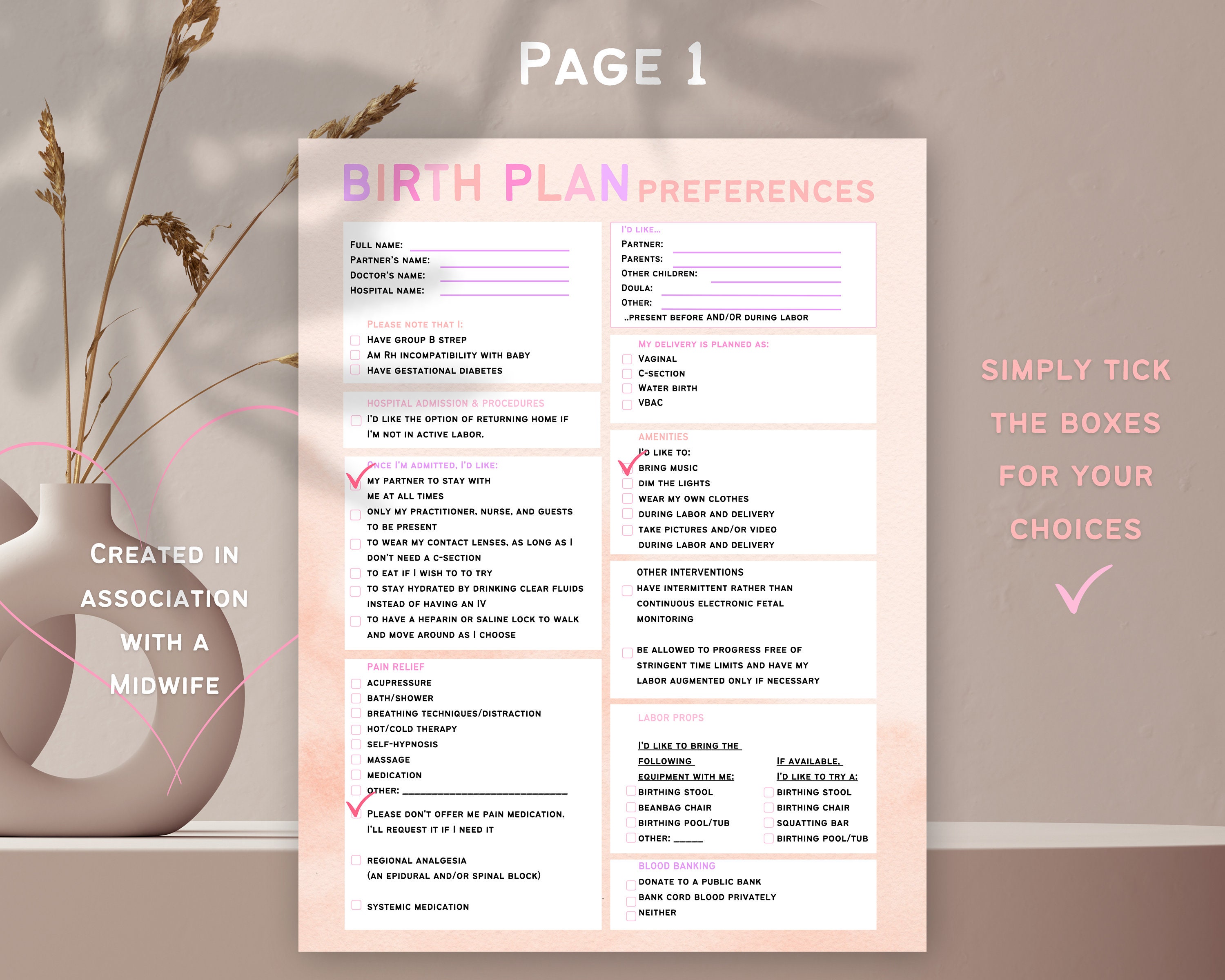 Birth Plan Template Printable, 2-pages, Pastel Design , C-section ...