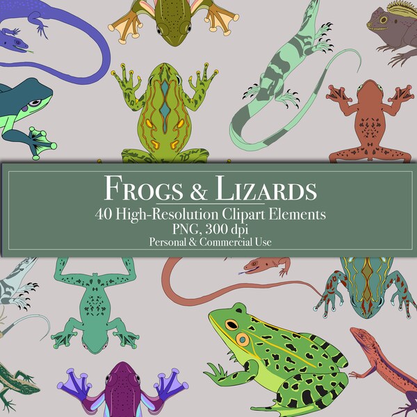 Lizard Clipart - Etsy