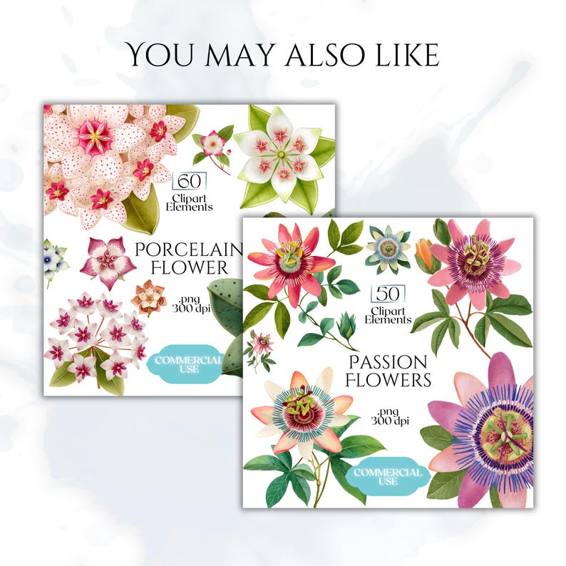 Banana Flower Clipart, Watercolor Exotic Banana Blossom Graphics ...