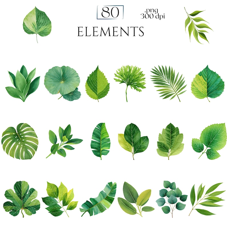 Green Leaves Clipart, Watercolor Leaf PNG Bundle, Botanical Plant ...