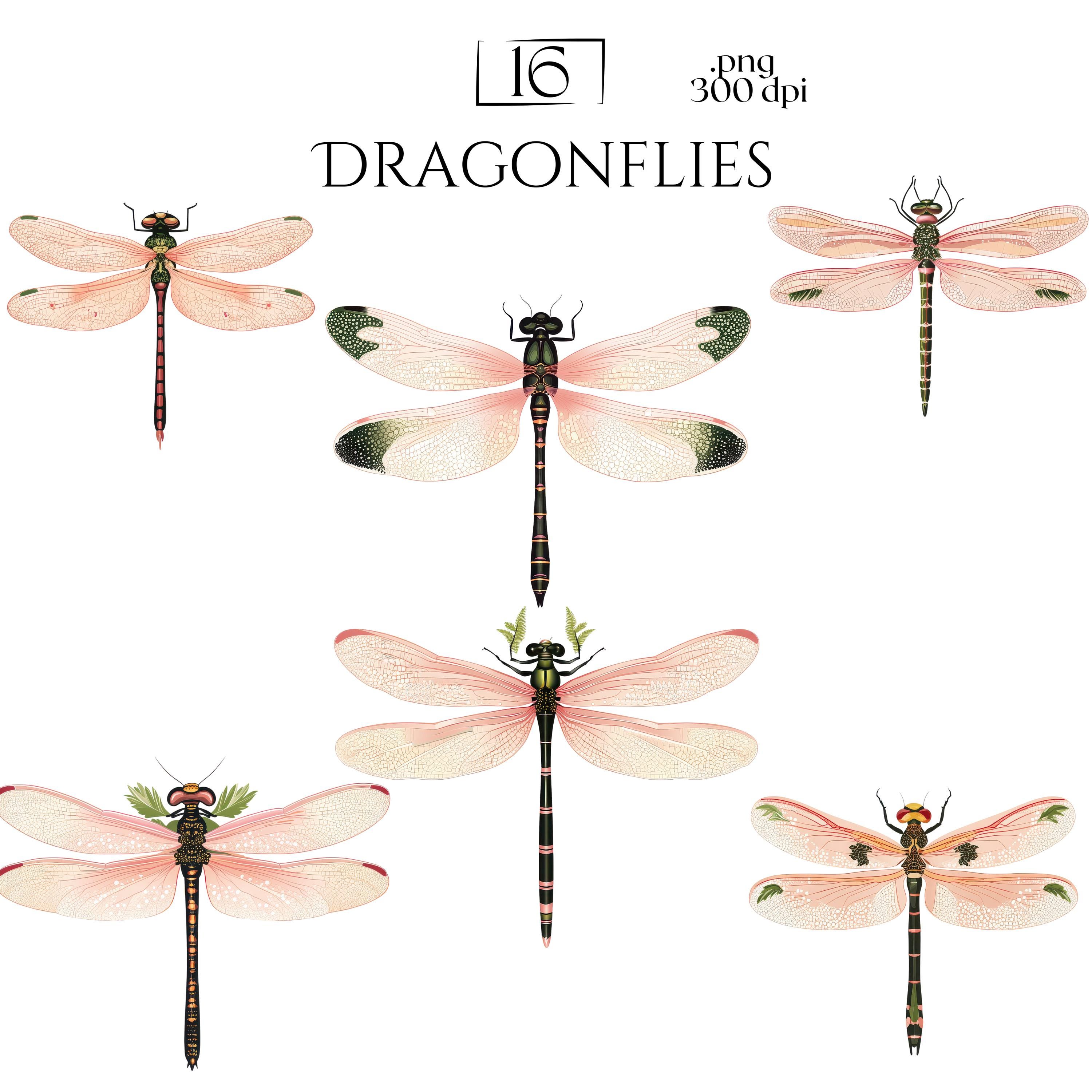 Dragonfly Clipart, Dragonflies PNG, Cute Insect Clip Art, Romantic Junk ...