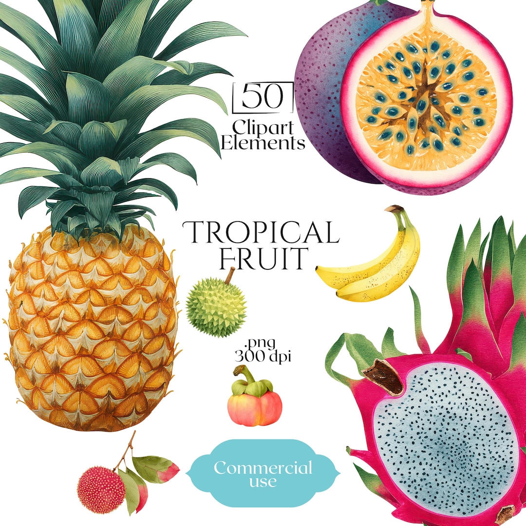 Tropical Fruit Clipart, Exotic Fruit PNG Bundle, Watercolor Fruit ...