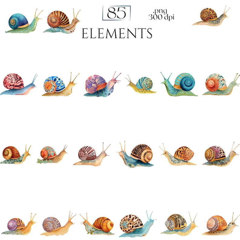 Snails Clipart, Colorful Snail Illustrations, Garden Snail PNG Elements ...