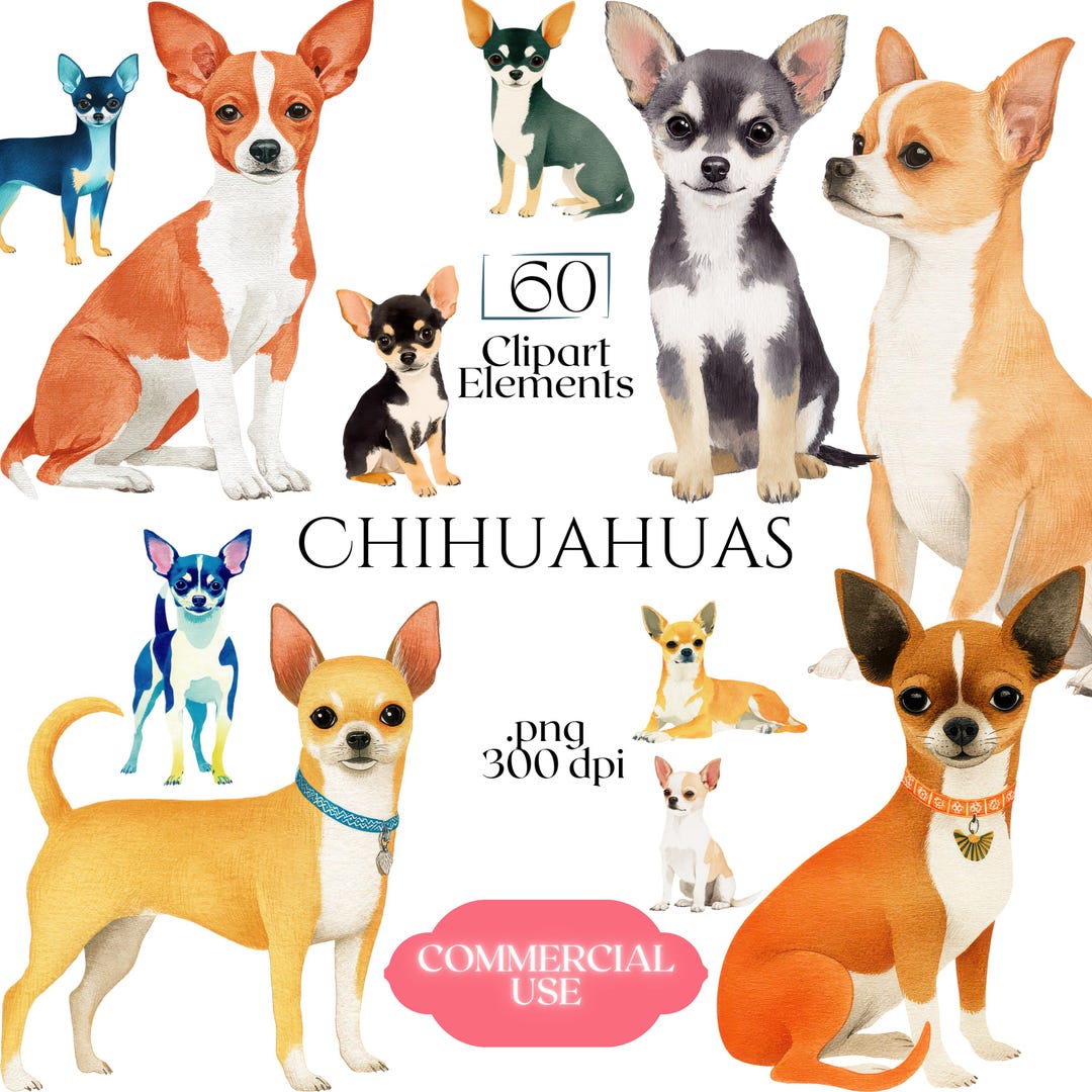Chihuahuas Clipart, Chihuahua Dog PNG Illustrations, Cute Toy Puppy ...