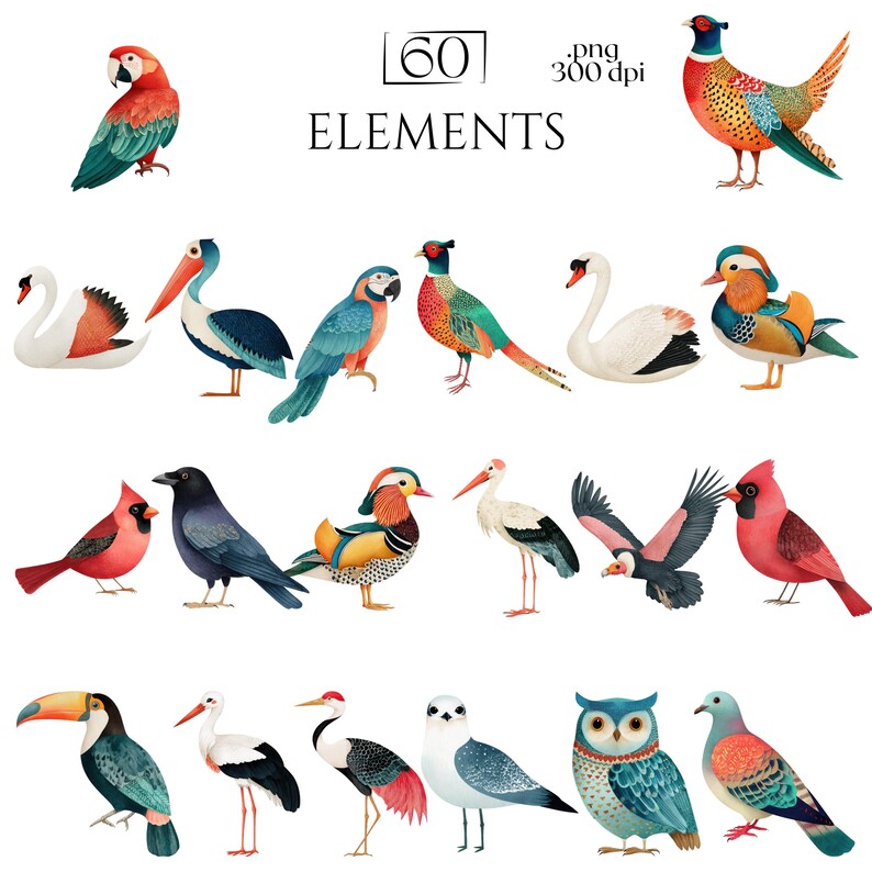 Watercolor Birds Clipart, Colorful Bird PNG Bundle, Exotic & Woodland ...
