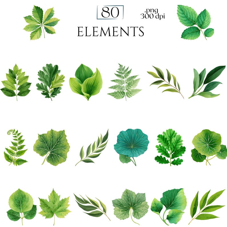 Green Leaves Clipart, Watercolor Leaf PNG Bundle, Botanical Plant ...