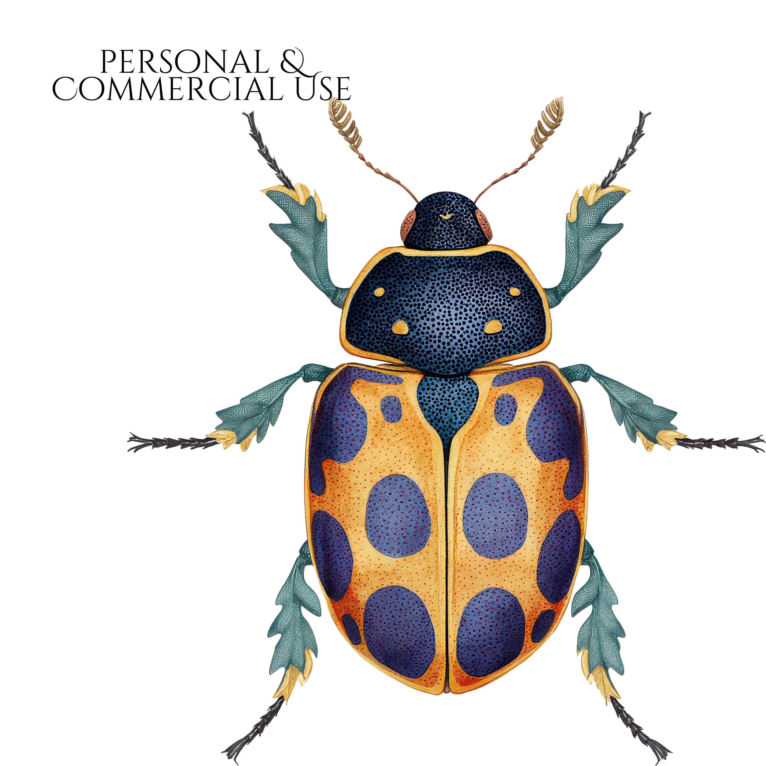 Bugs Clipart, Colorful Insect PNG Elements, Beetles Butterflies Bees ...