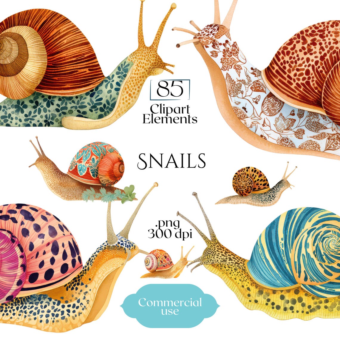 Snails Clipart, Colorful Snail Illustrations, Garden Snail PNG Elements ...