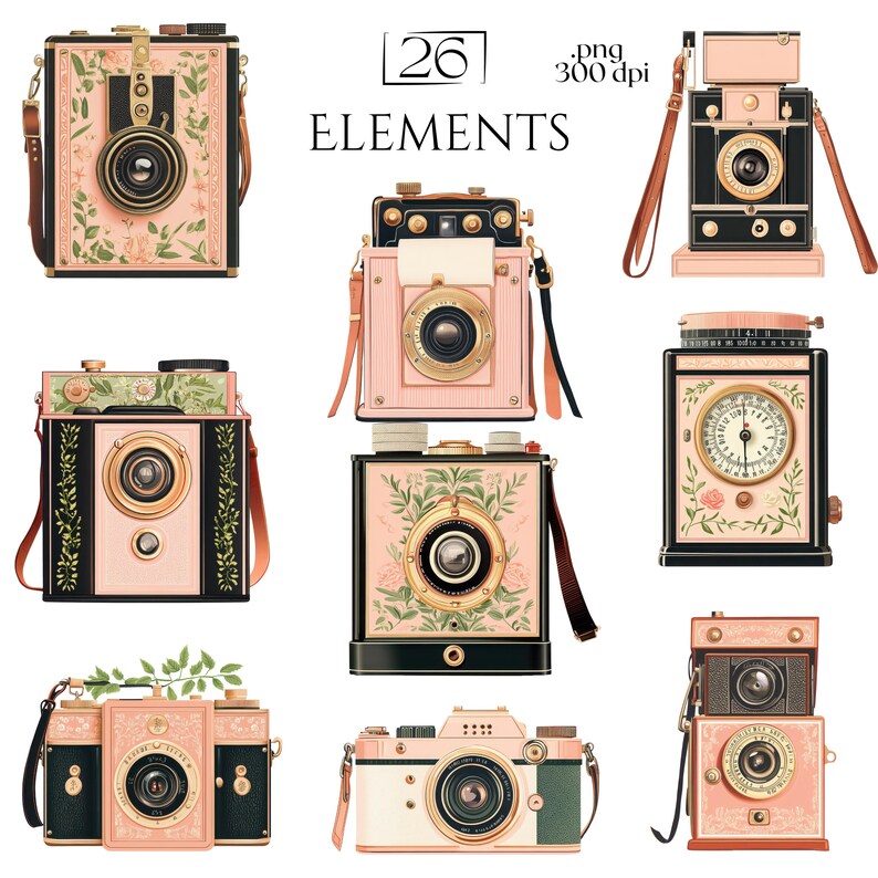 Old Cameras Clipart, Vintage Camera PNG, Retro Camera Clip Art, Pink ...
