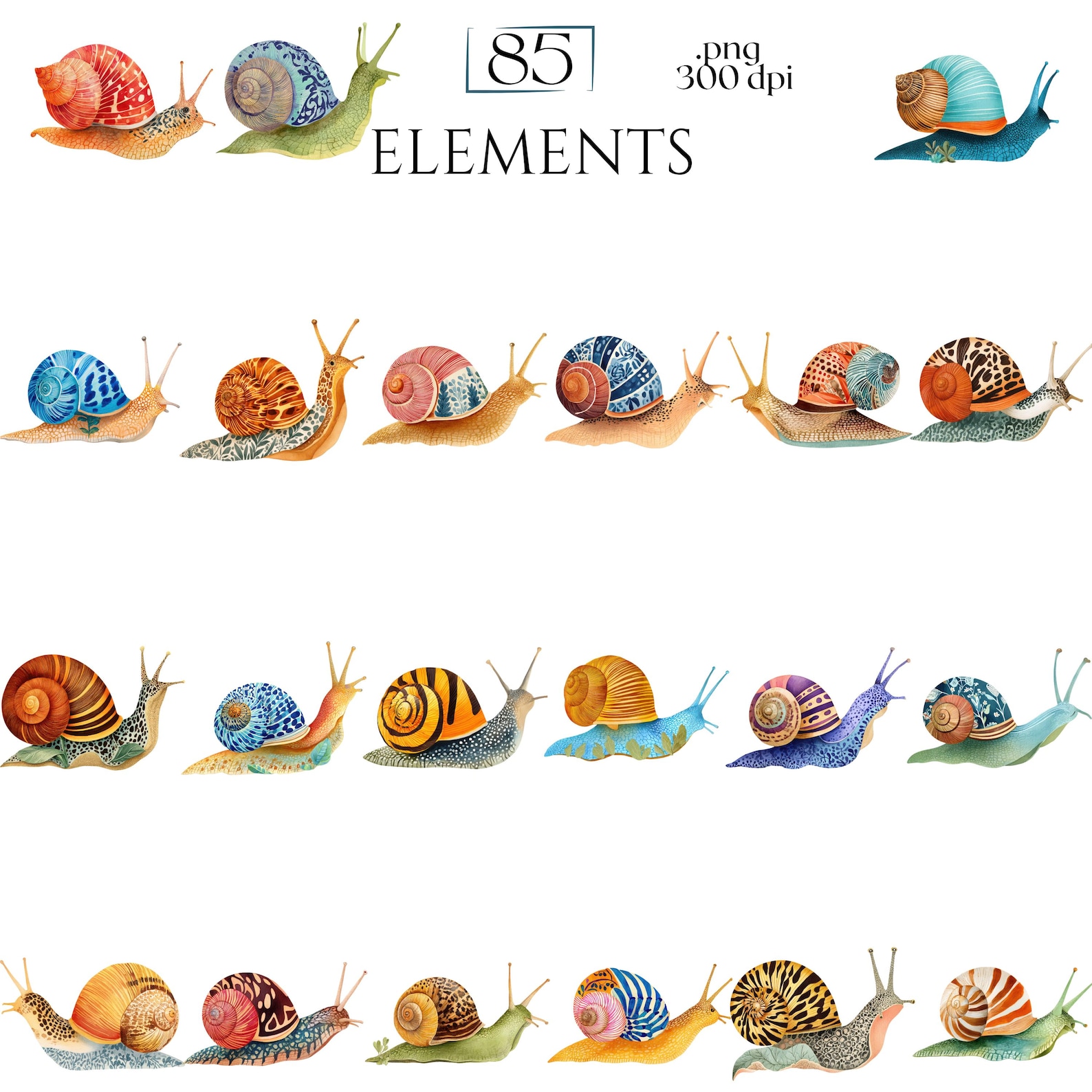 Snails Clipart, Colorful Snail Illustrations, Garden Snail PNG Elements ...