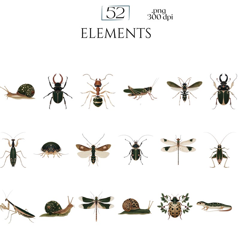 Goblincore Creatures Clipart, Enchanted Bug Pngs, Whimsical Forest ...