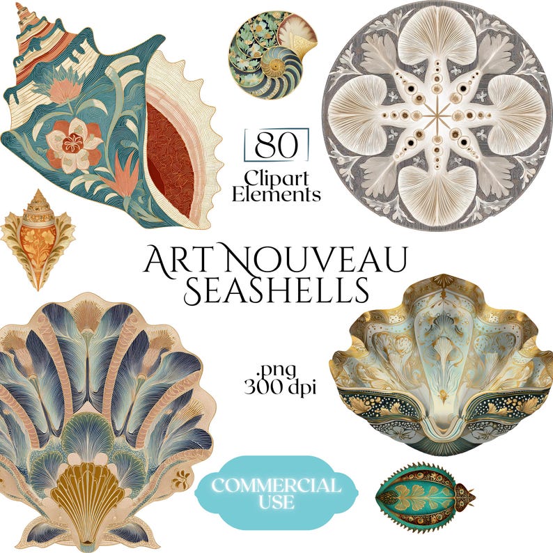 Art Nouveau Seashells Clipart, Ornamental Vintage Sea Shell PNG ...