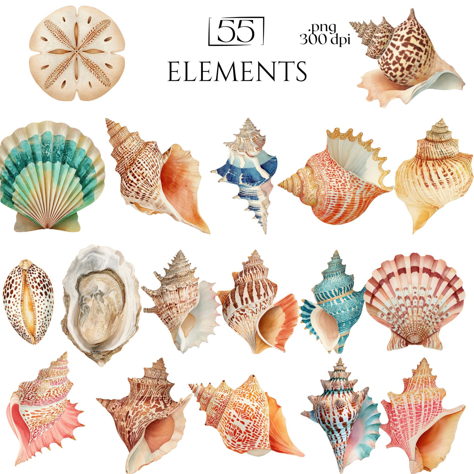 Seashells Clipart, Watercolor Seashell PNG Bundle, Ocean Beach Shell ...