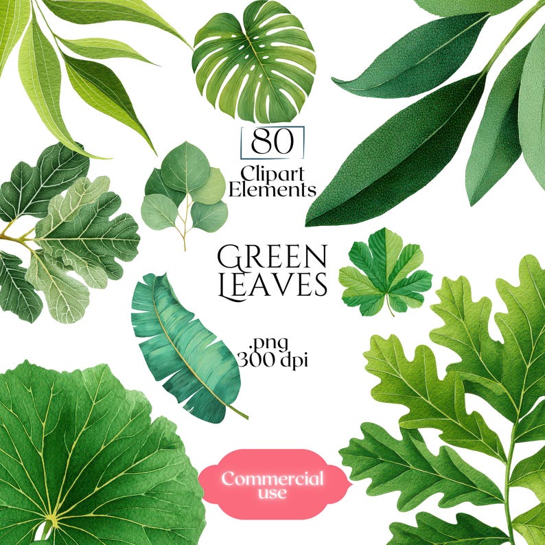 Green Leaves Clipart, Watercolor Leaf PNG Bundle, Botanical Plant ...
