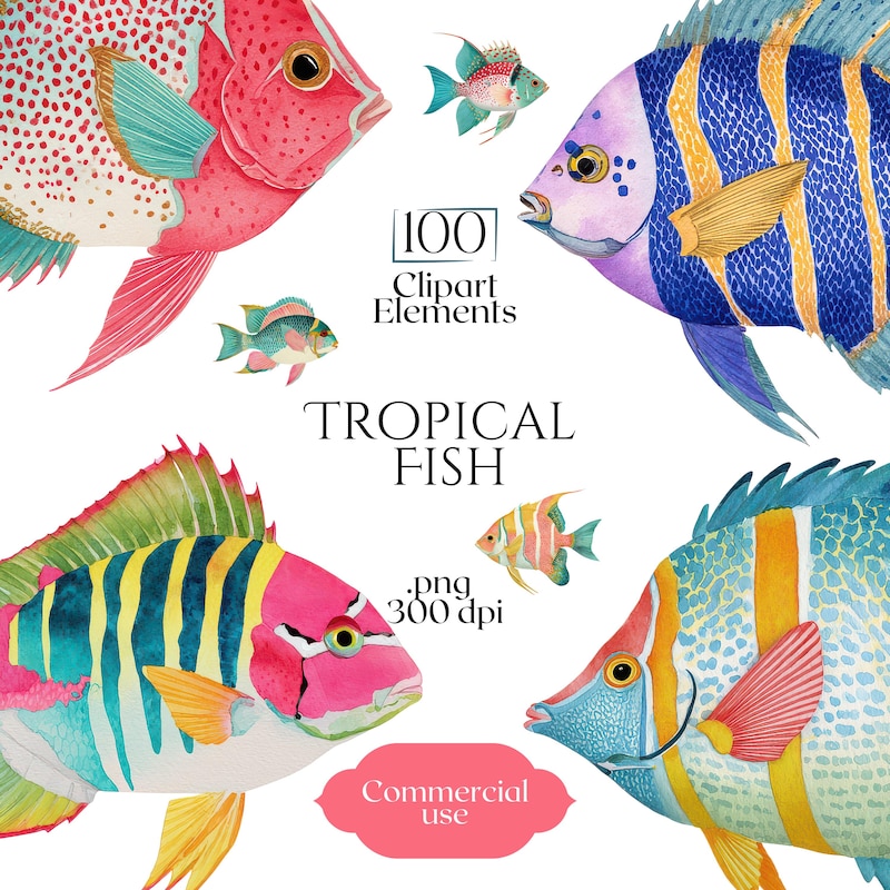 Fish Stickers - Etsy