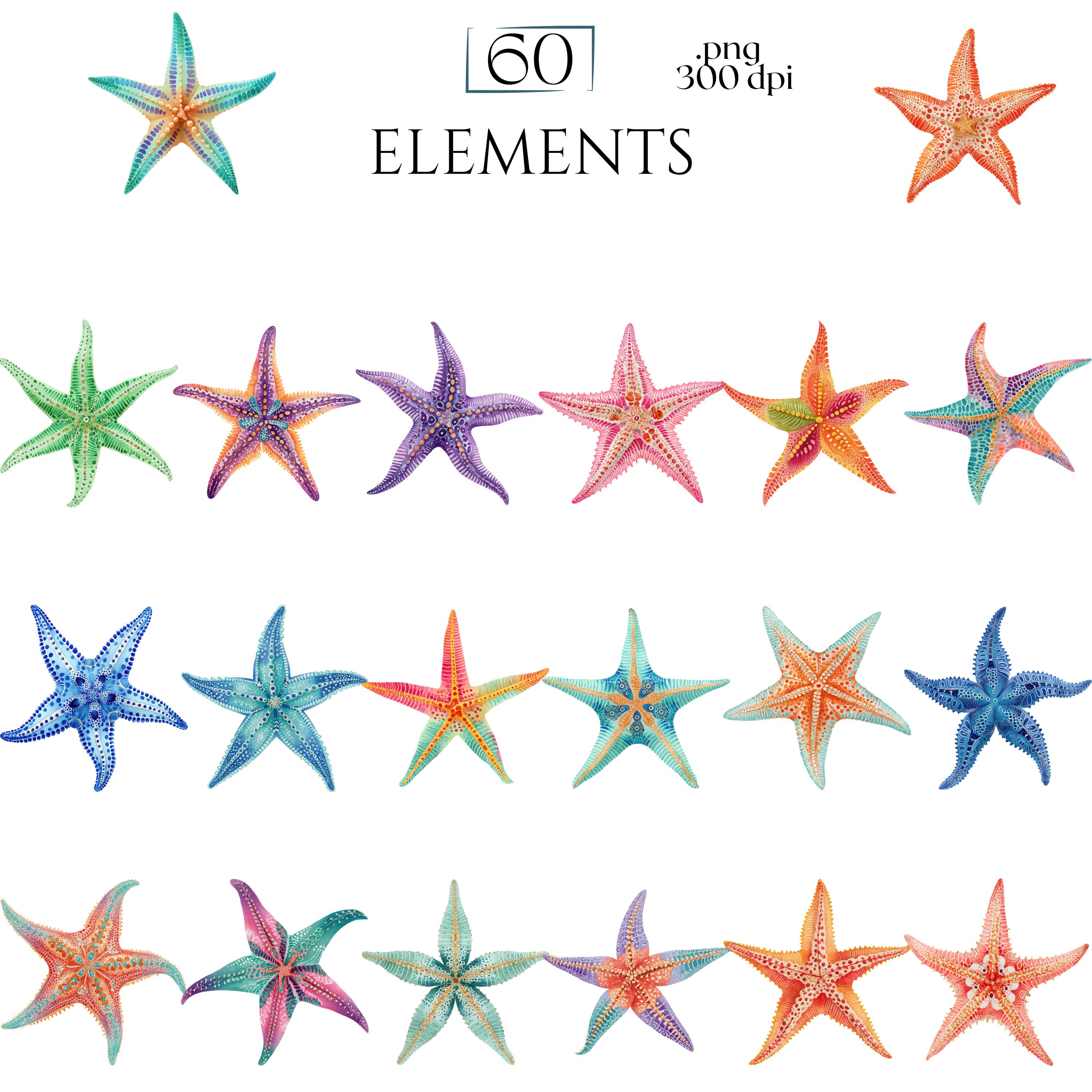 Starfish Clipart, Watercolor Starfish Illustrations, Tropical Ocean ...