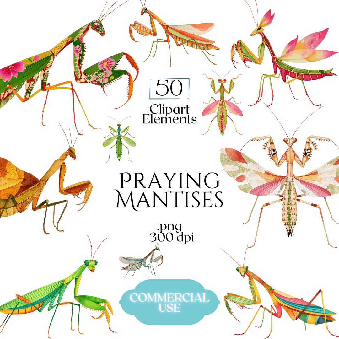 Praying Mantis Clipart, Colorful Bug Ephemera, Exotic Insect ...