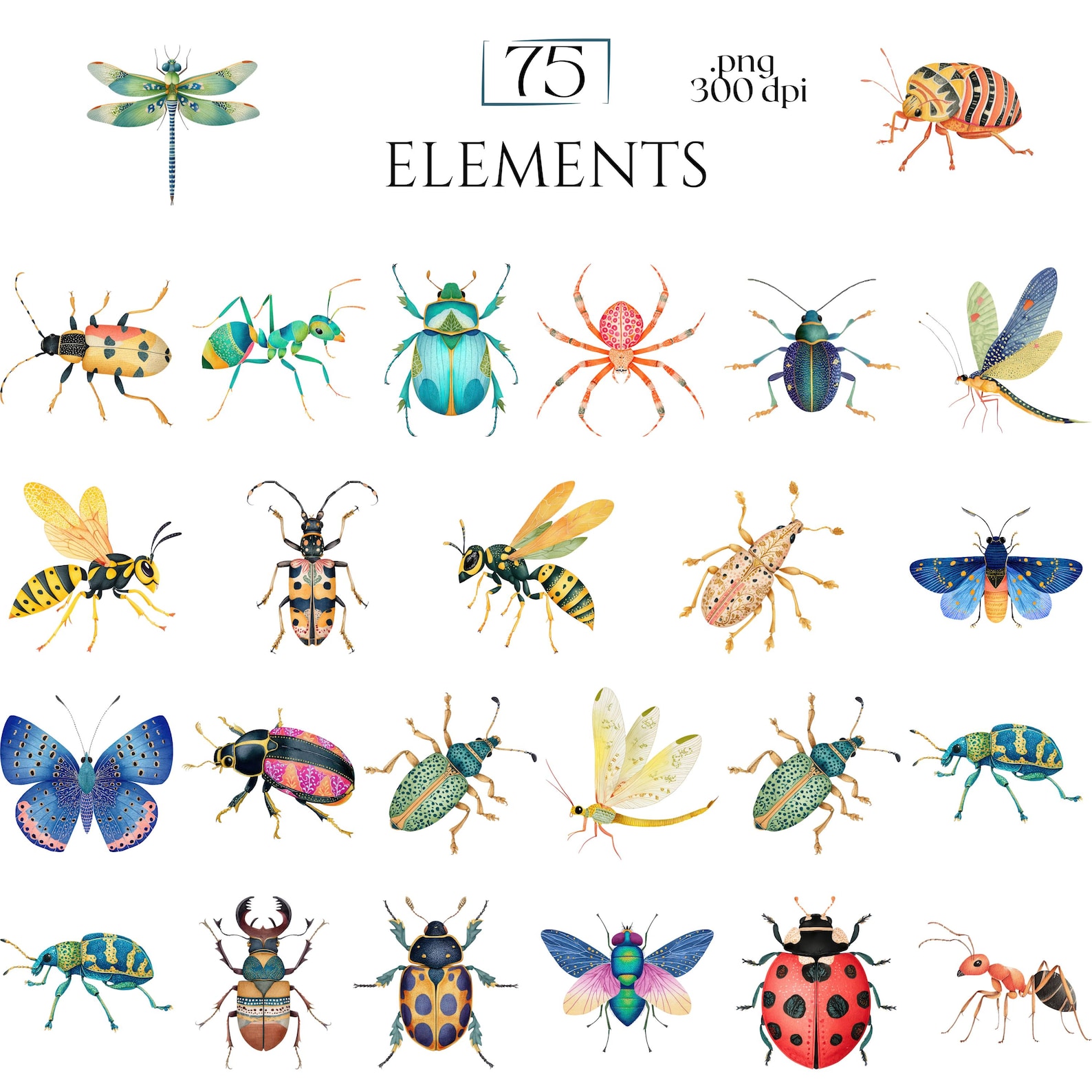 Bugs Clipart, Colorful Insect PNG Elements, Beetles Butterflies Bees ...