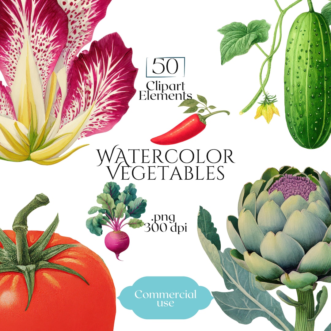 Watercolor Vegetables Clipart, Farm Fresh Vegetable PNG Illustrations ...