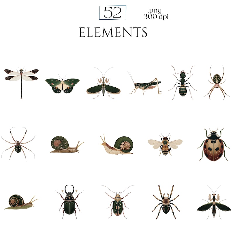 Goblincore Creatures Clipart, Enchanted Bug Pngs, Whimsical Forest ...