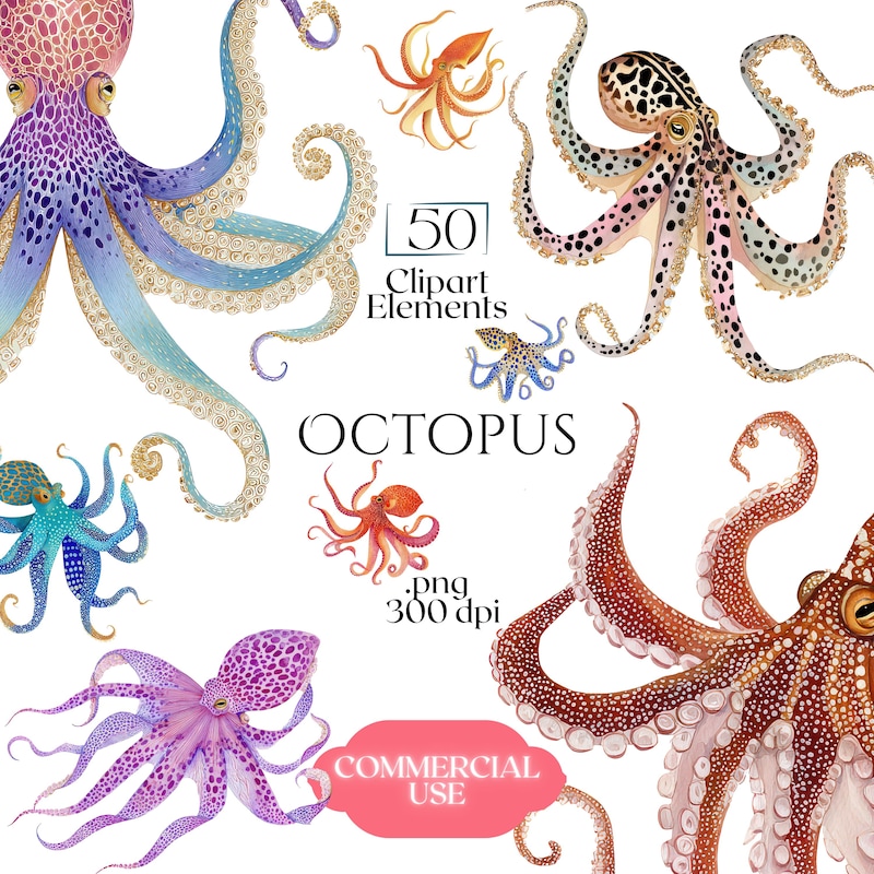 Octopus Clipart - Etsy