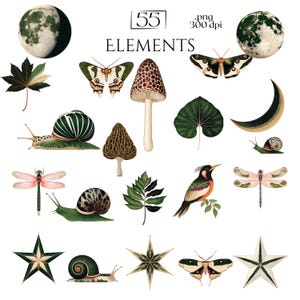 Goblincore Clipart Bundle – 55 Cozy PNG Elements for Junk Journals ...