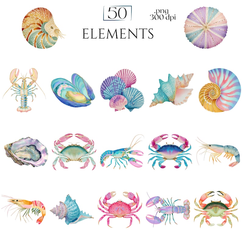 Pastel Shellfish Clipart, Soft Coastal Lobster PNG Illustrations, Light ...