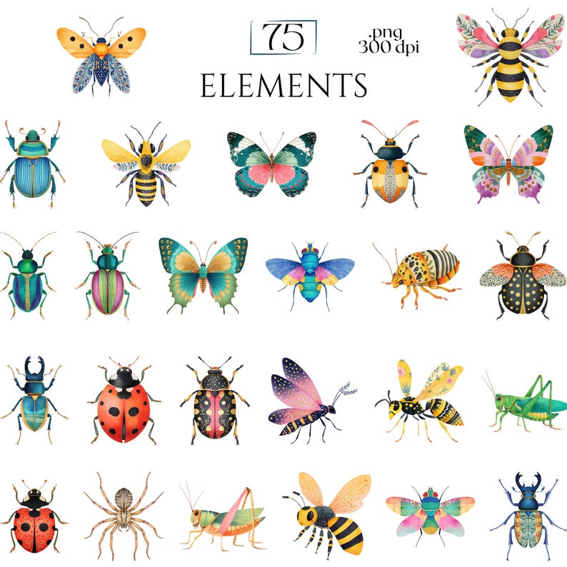 Bugs Clipart, Colorful Insect PNG Elements, Beetles Butterflies Bees ...