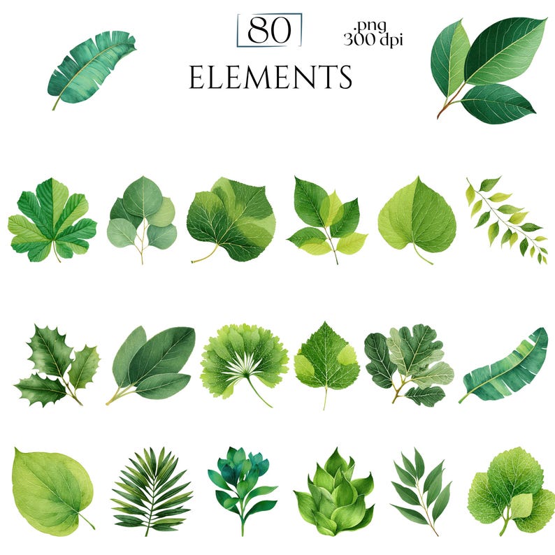 Green Leaves Clipart, Watercolor Leaf PNG Bundle, Botanical Plant ...