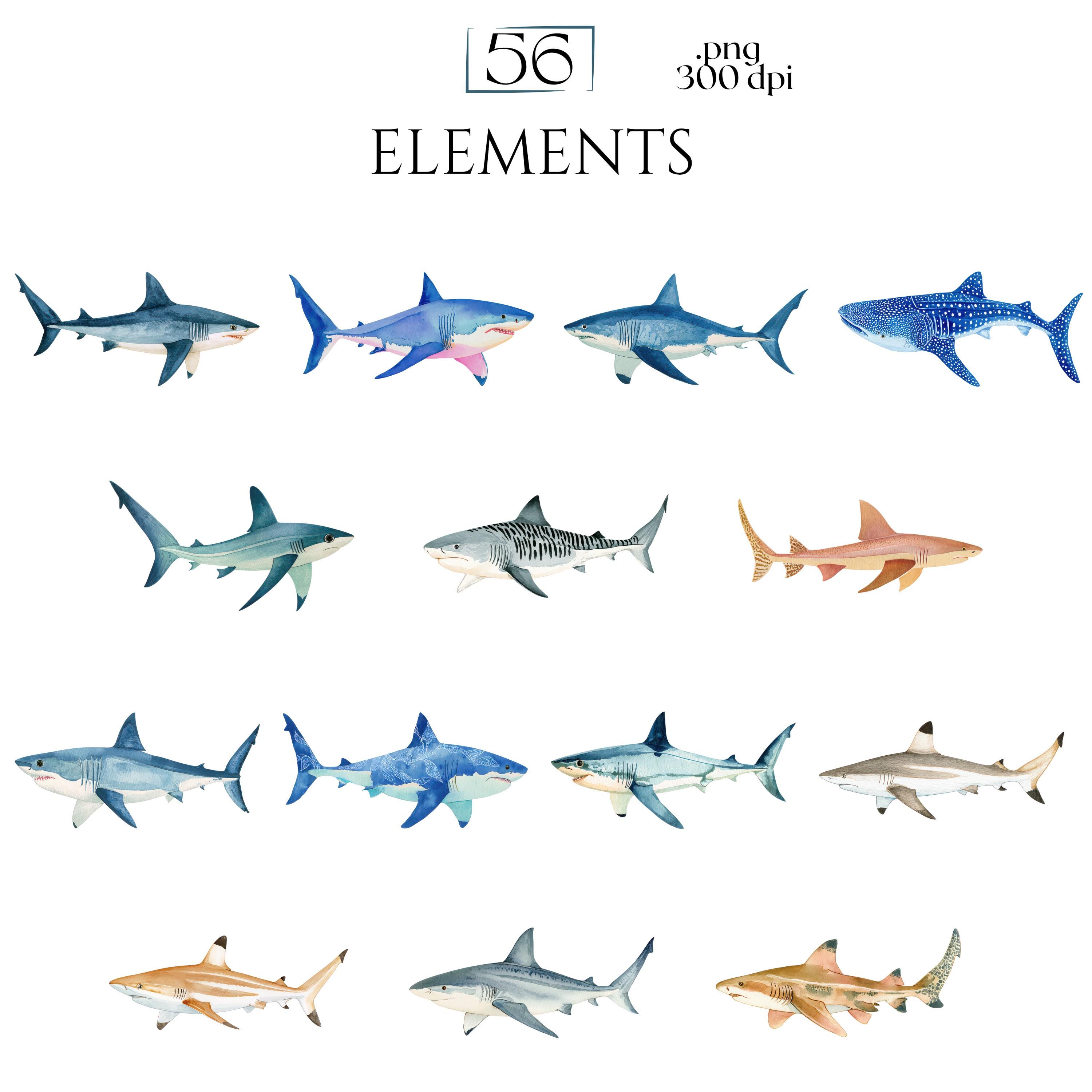 Shark Clipart, Watercolor Shark Illustrations, Shark Graphics for Kids ...