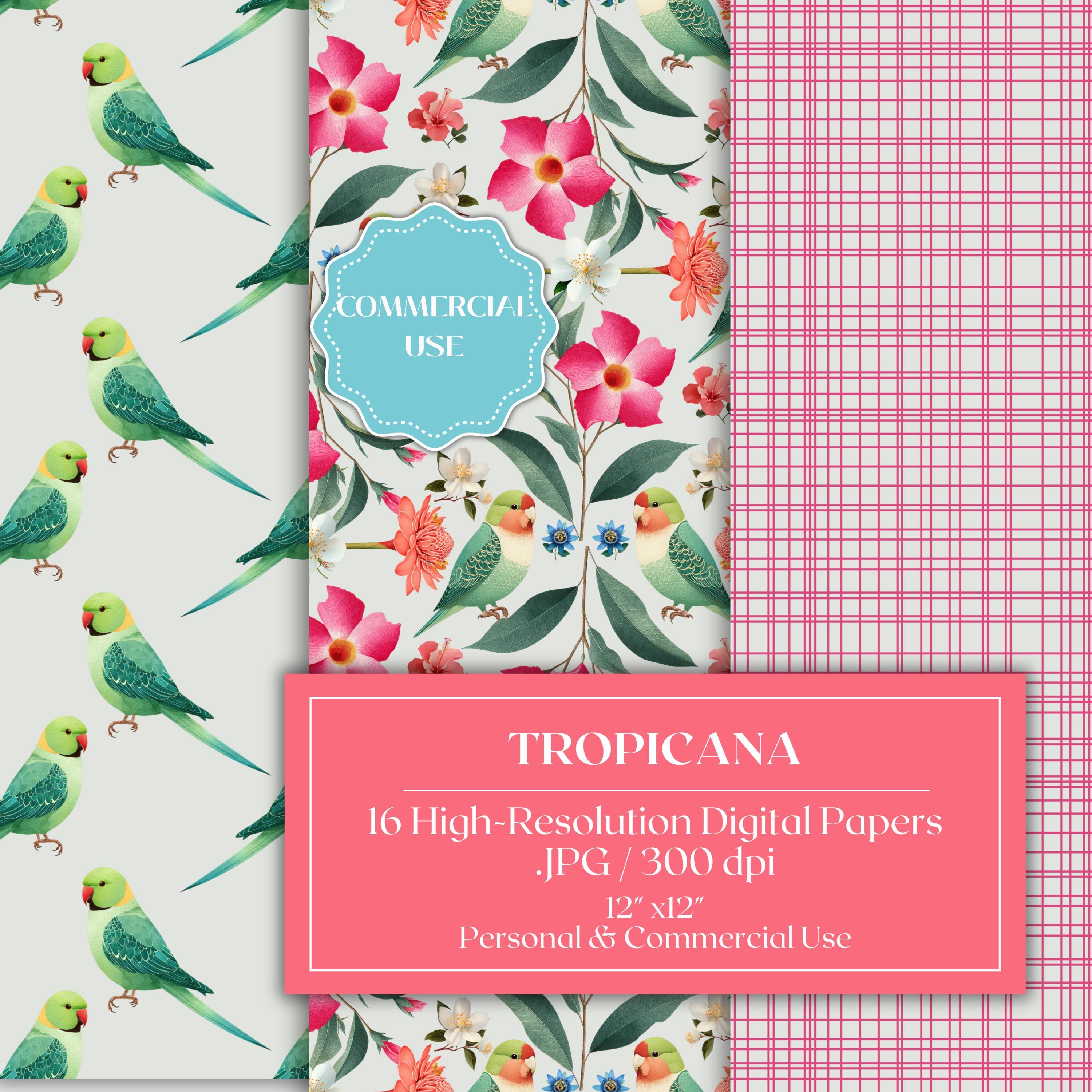 Tropicana Digital Papers, Tropical Seamless Patterns, Exotic Bird ...