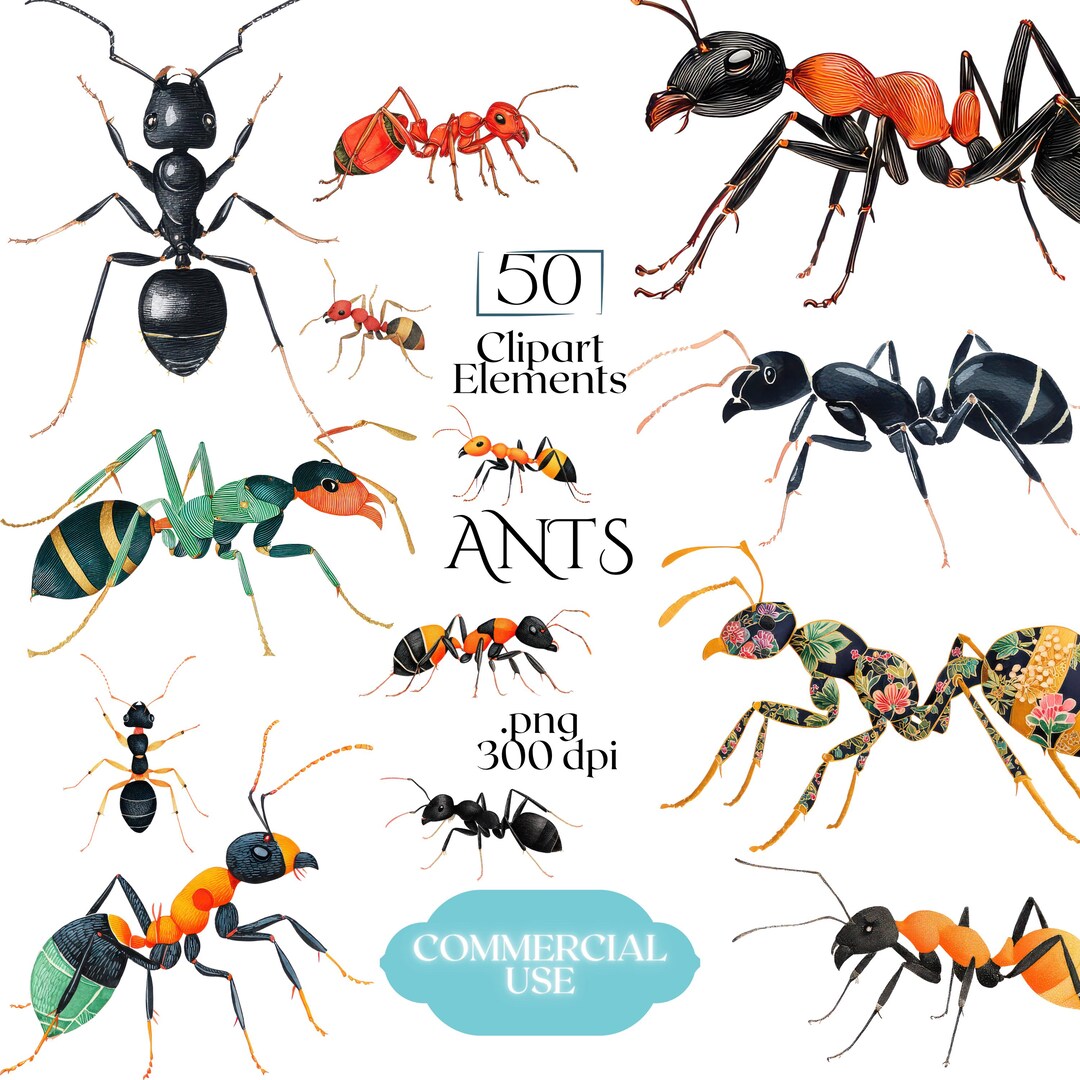 Ants Clipart, Colorful Ant Illustrations, Unique Insect Pngs for Crafts ...
