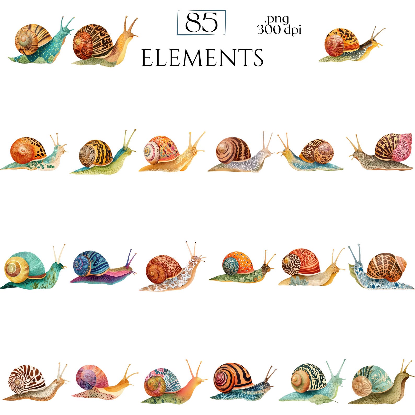 Snails Clipart, Colorful Snail Illustrations, Garden Snail PNG Elements ...