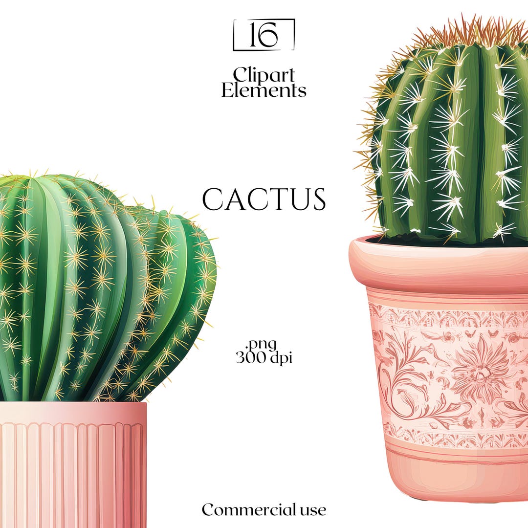 Potted Boho Cactus Clipart, Cacti PNG, Pink-potted Cactus Clip Art ...