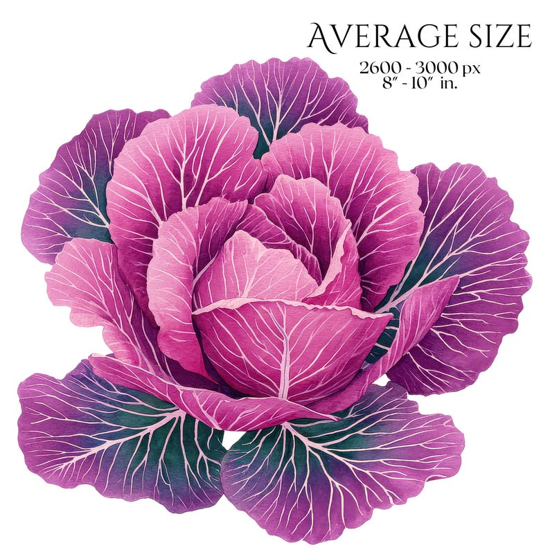 Watercolor Vegetables Clipart, Farm Fresh Vegetable PNG Illustrations ...