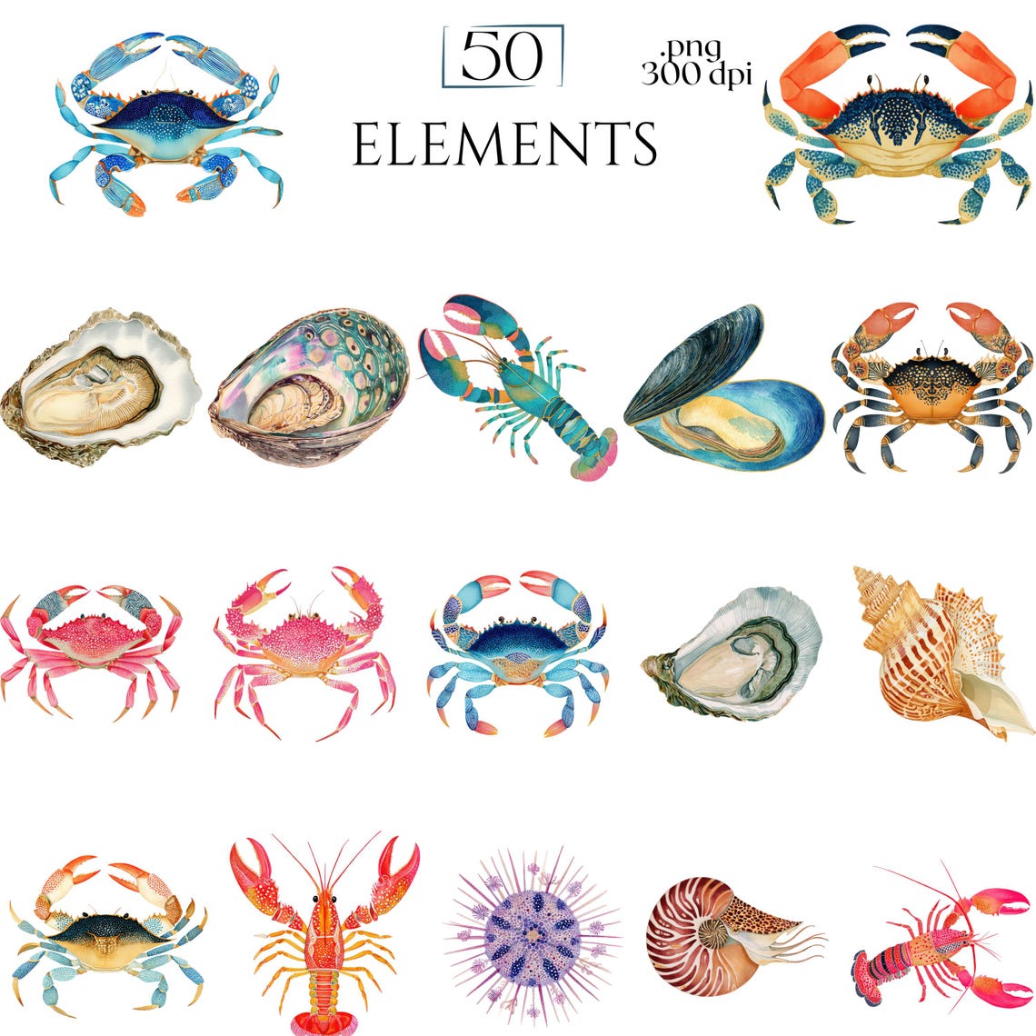 Shellfish Clipart, Crab Lobster Shrimp Oyster Seashell Illustration ...