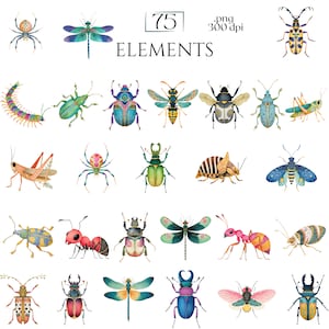 Bugs Clipart, Colorful Insect PNG Elements, Beetles Butterflies Bees ...