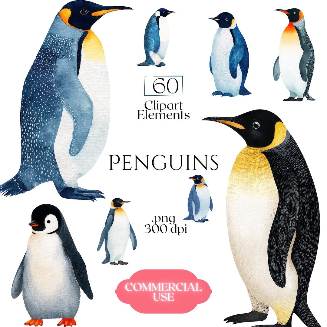 Penguins Clipart, Penguin PNG Illustrations, Arctic Bird Graphics for ...