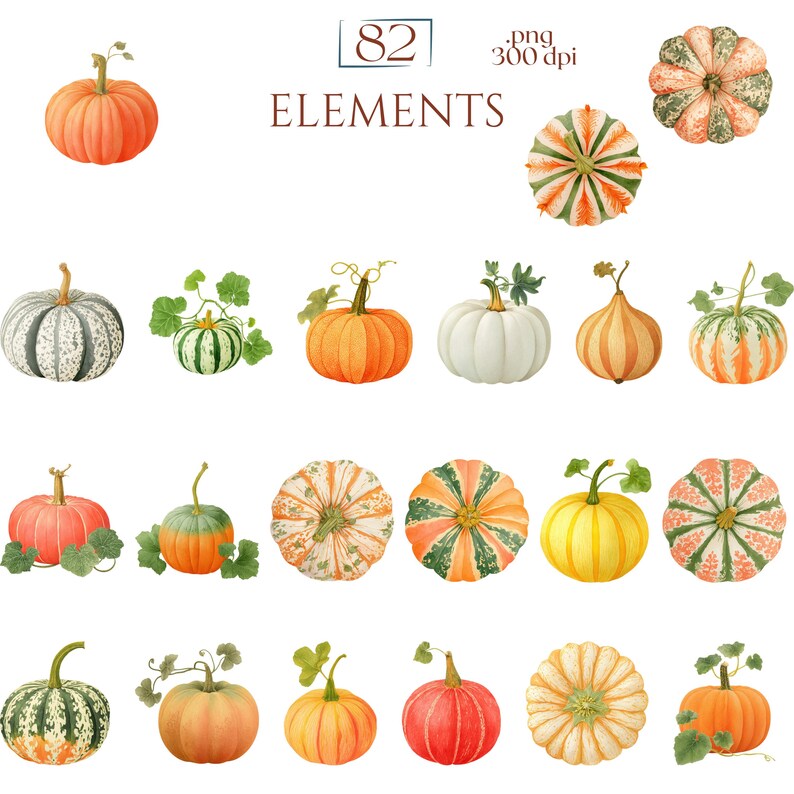 Pumpkin & Squash Clipart, Fall Harvest Vegetable Illustrations, Autumn ...