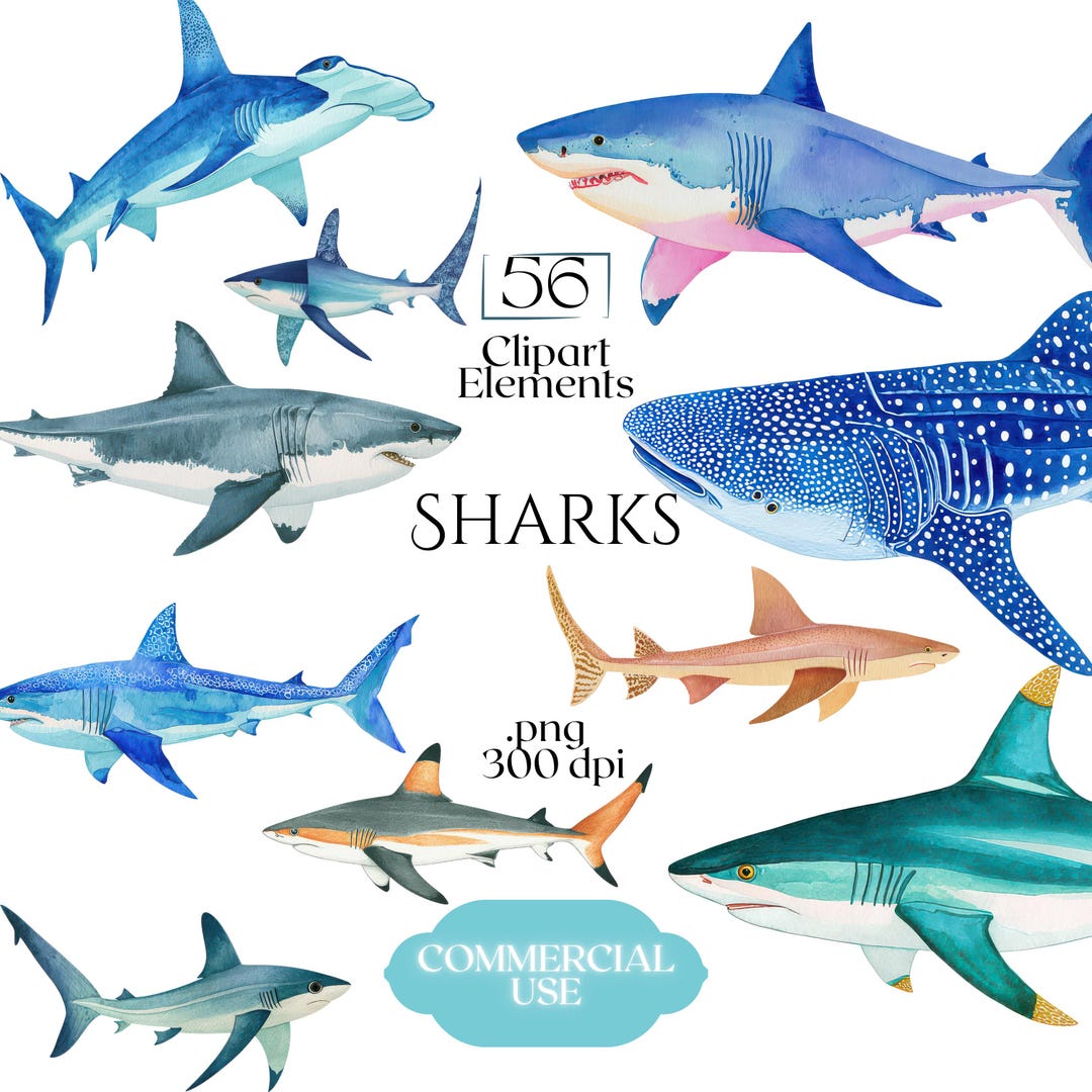 Shark Clipart, Watercolor Shark Illustrations, Shark Graphics for Kids ...