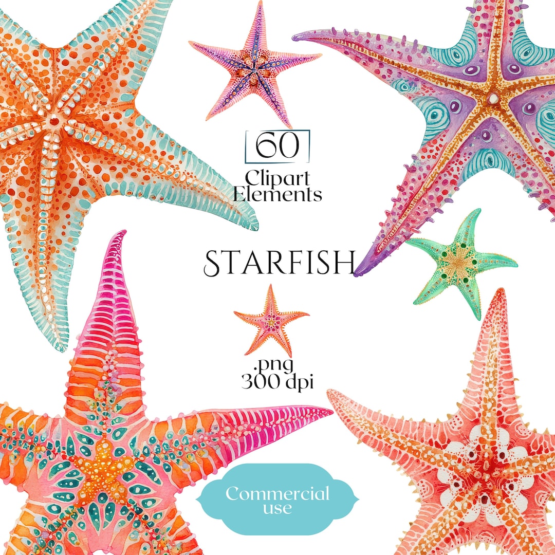 Starfish Clipart, Watercolor Starfish Illustrations, Tropical Ocean ...