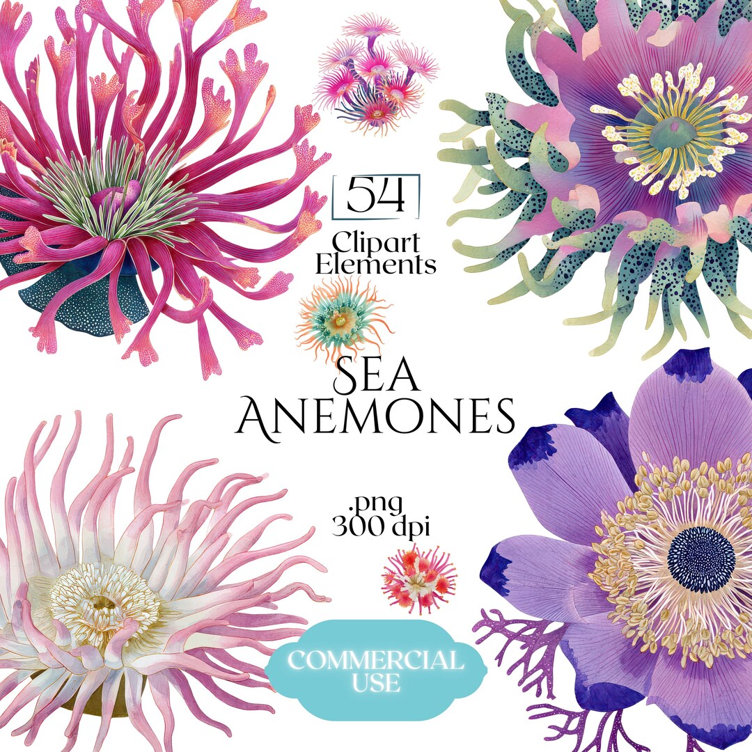 Sea Anemones Clipart, Vibrant Reef Flower Illustrations, Coastal PNG ...