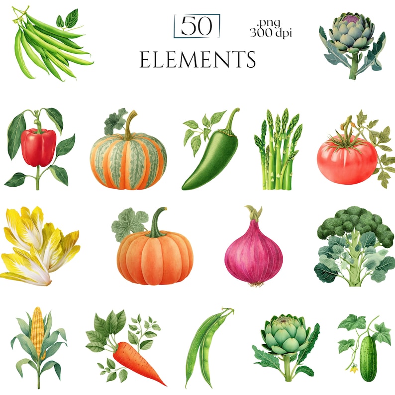 Watercolor Vegetables Clipart, Farm Fresh Vegetable PNG Illustrations ...