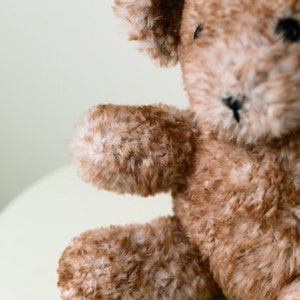 Enchanting Embrace: the Fluffy Teddy Bear - Your Pint-sized Pal of ...